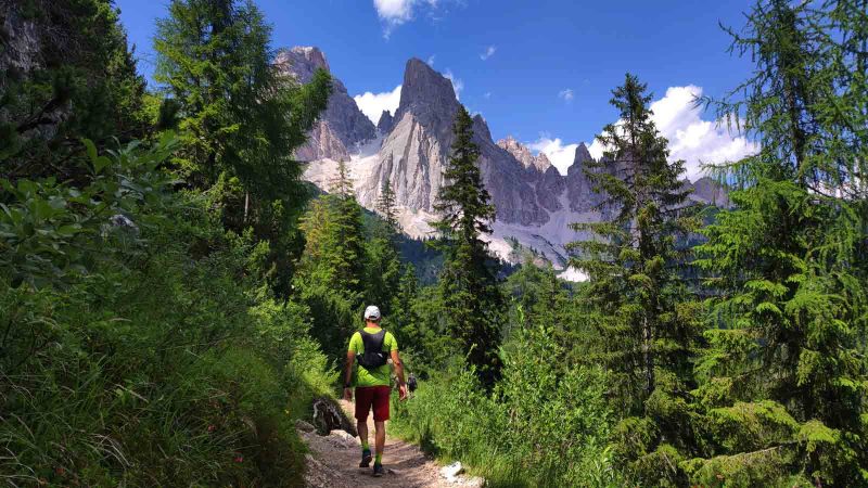 Tipos de senderos: Manual para principiantes - Tu Guía Outdoor de ...